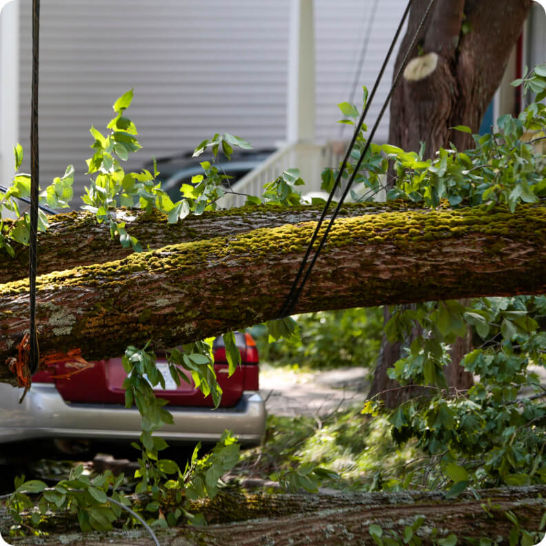 Power Outages | All Hazards